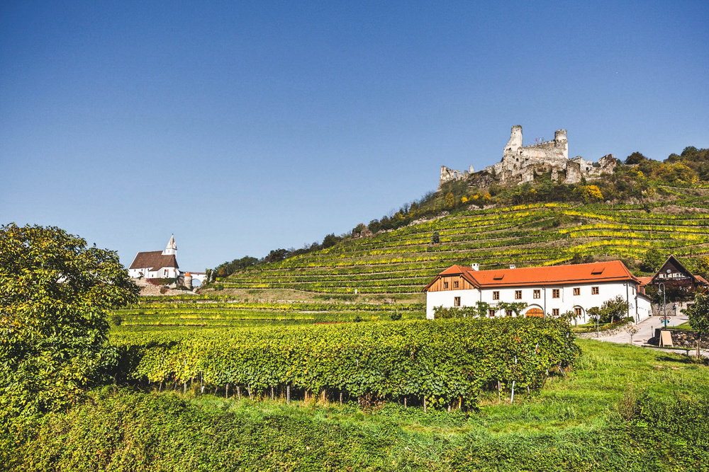 Weinshop - Weingut Nigl