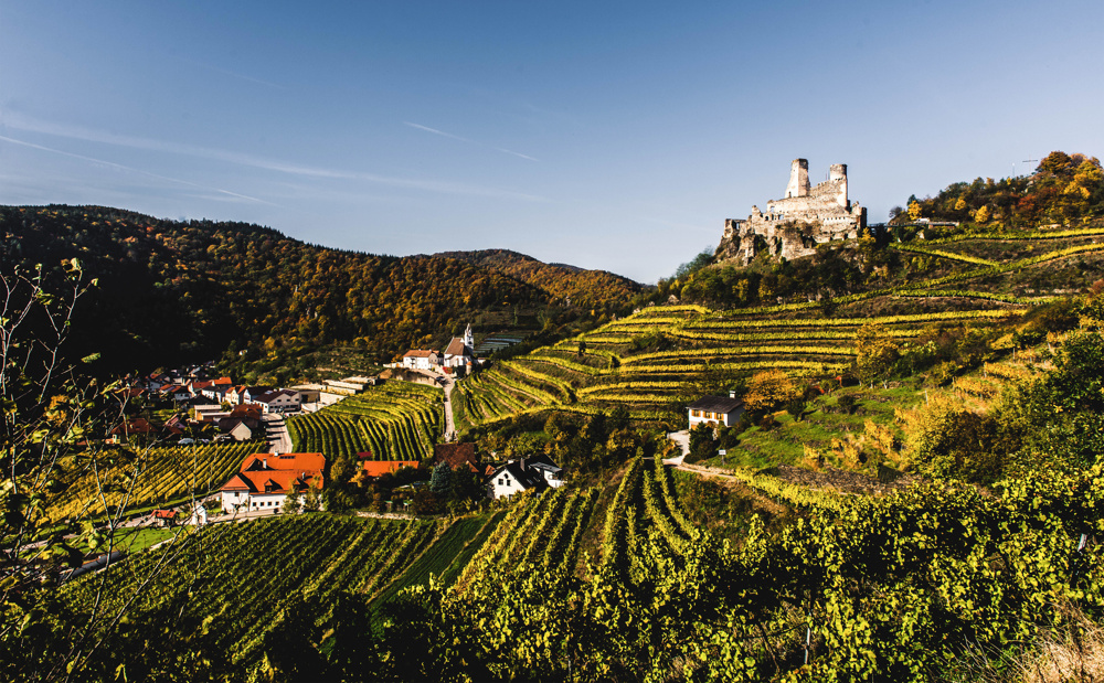 WEINGUT. RESTAURANT. HOTEL. NIGL. - Weingut Nigl