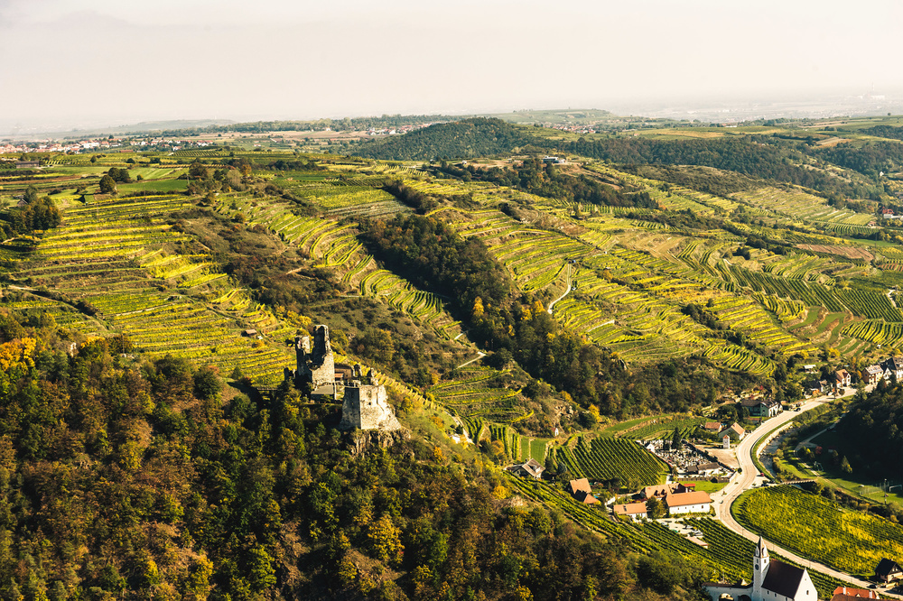Geschichte - Weingut Nigl