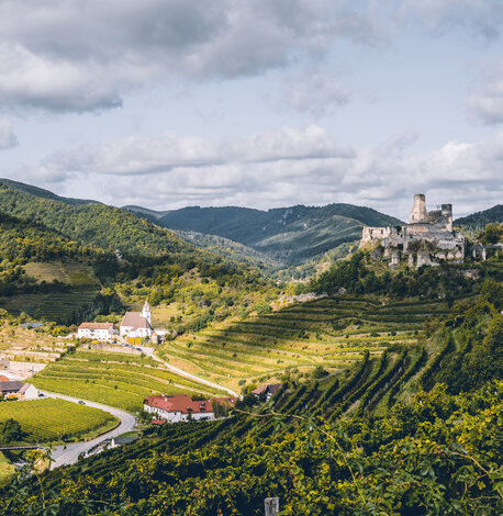 WEINGUT. RESTAURANT. HOTEL. NIGL. - Weingut Nigl